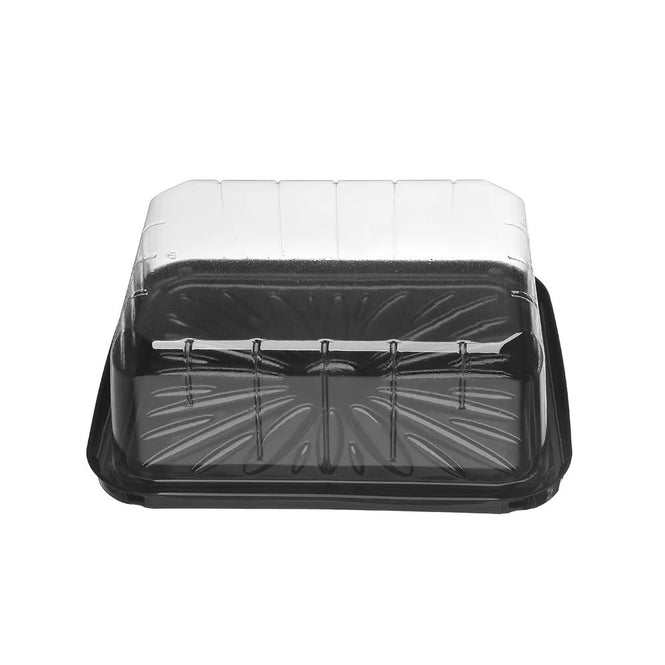 Domos Contemporáneos lisos – Desechables Xballoon